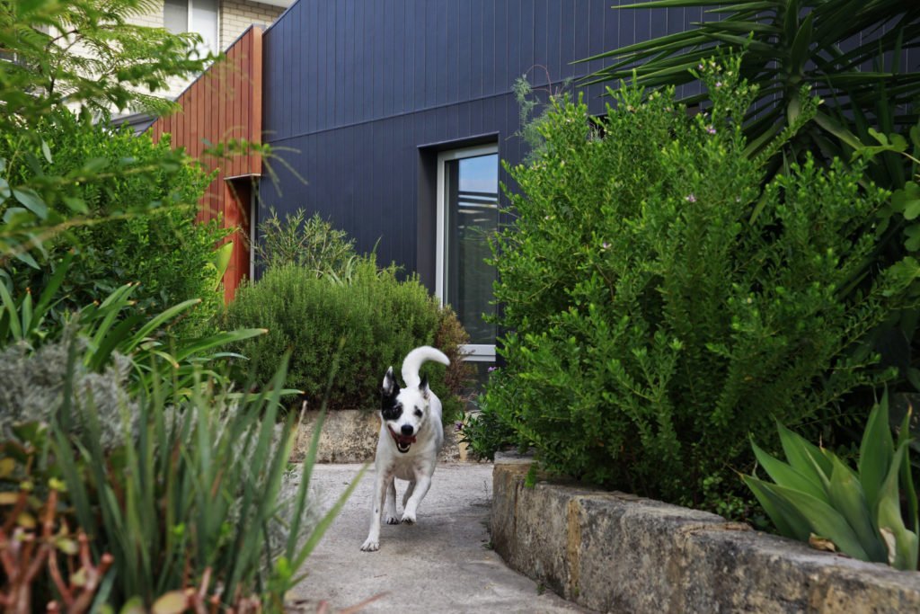 Our Cladding Makeover Reveal - House Nerd